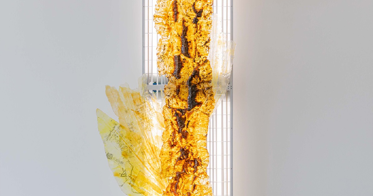 Chloé Delarue | galerie frank elbaz